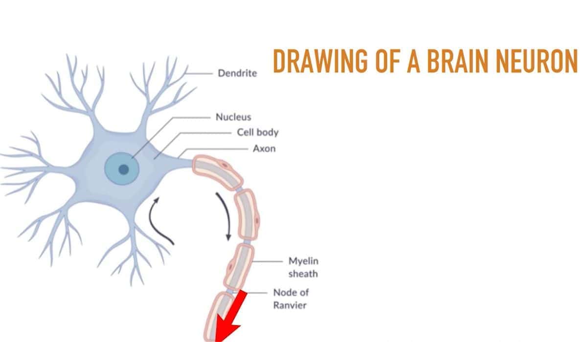 The New Rules of Marksmanship Preparation For The Unexpected